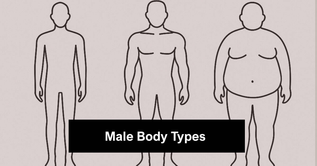 Male Body Types Explained: Chart, Fit Tips & Style Guide 2025